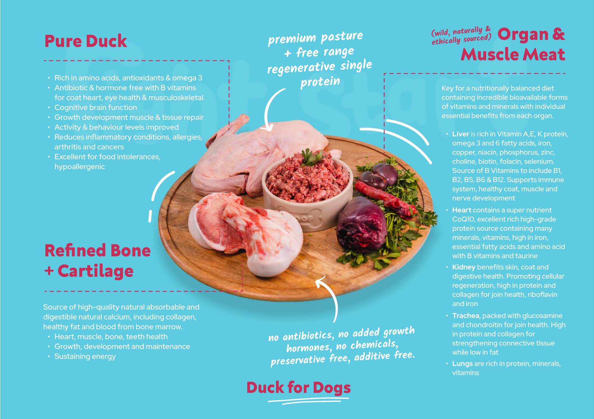 Duck Pieces for Dogs | Raw Dog Food Delivered – Right Start Pet Food